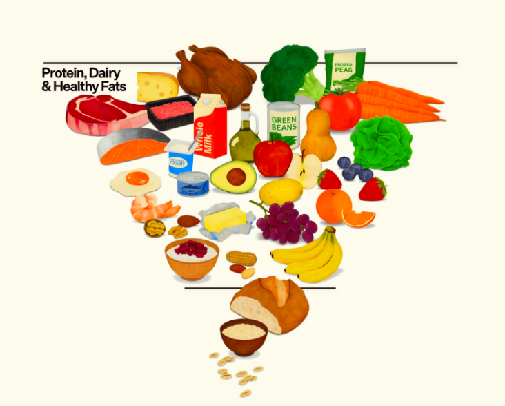 The New Food Pyramid 2026: Why Olive Oil is the Foundation